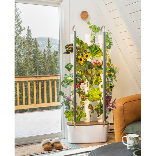 Gardyn Hydroponics Growing System Indoor Smart Garden 3.0 - AI ... Gardyn Hydroponics Growing System Indoor Smart Garden 3.0 - AI ...